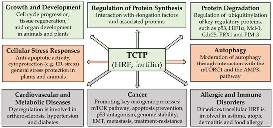 Role of TCTP in Cell Biological and Disease Processes