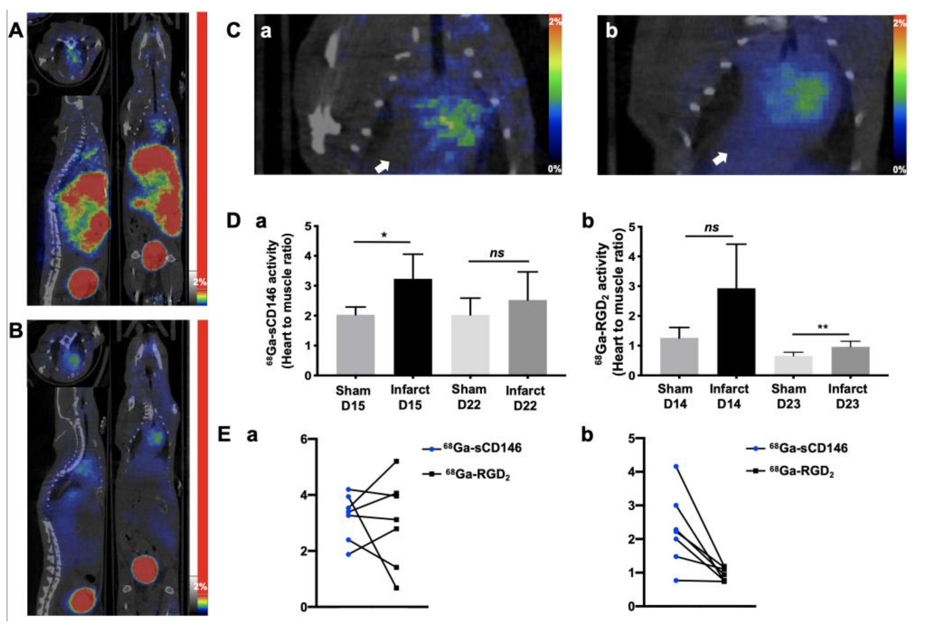 Cells | Free Full-Text | Comparison of a New 68Ga-Radiolabelled PET ...