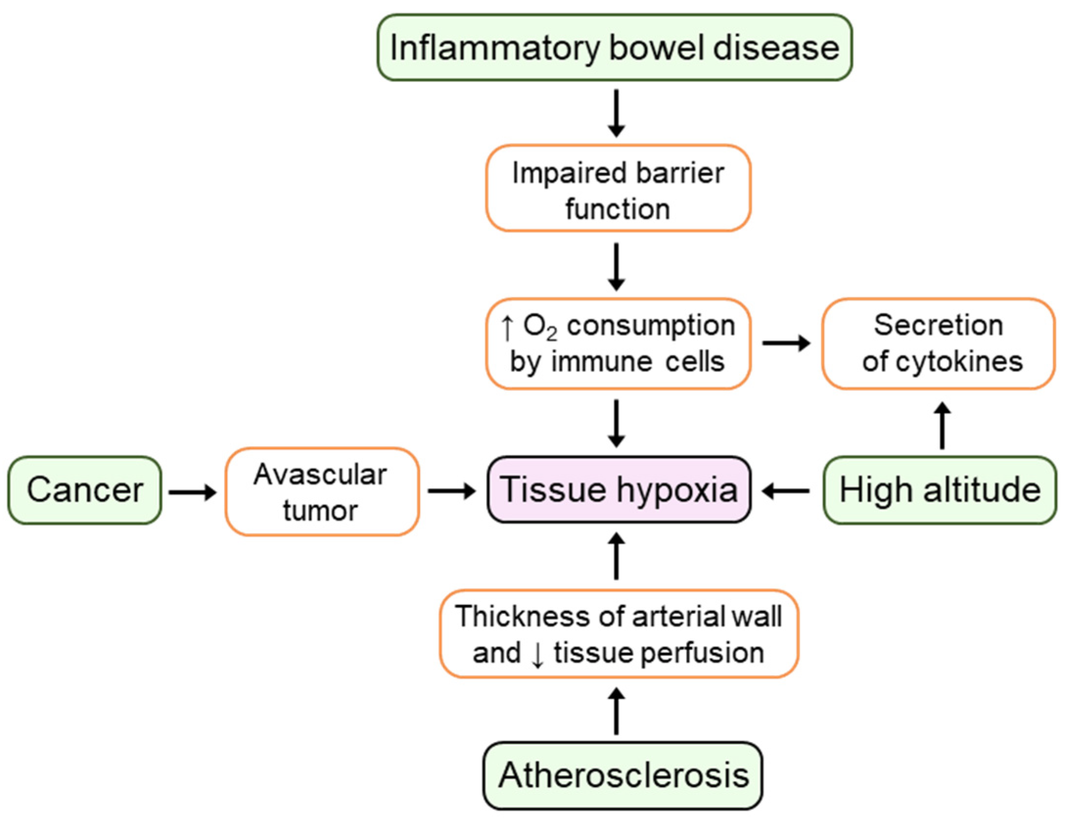 Cells Free Full Text Regulation Of The Hypoxia Inducible Factor