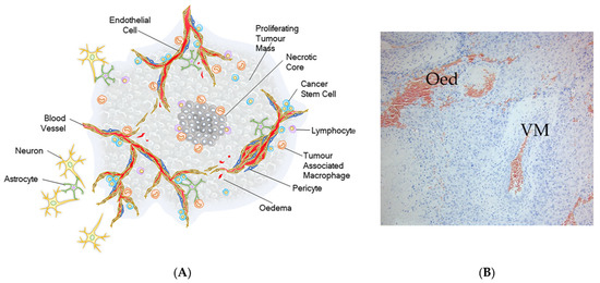 Strategic Development of an Immunotoxin for the Treatment of ...