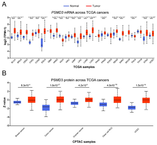 26S Proteasome Non-ATPase Regulatory Subunits 1 (PSMD1) and 3 (PSMD3 ...