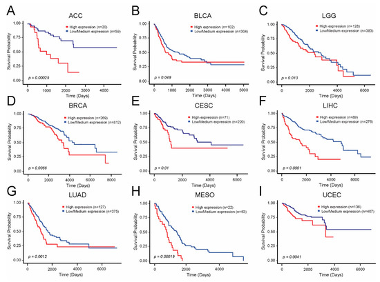 26S Proteasome Non-ATPase Regulatory Subunits 1 (PSMD1) and 3 (PSMD3 ...
