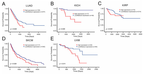 26S Proteasome Non-ATPase Regulatory Subunits 1 (PSMD1) and 3 (PSMD3 ...