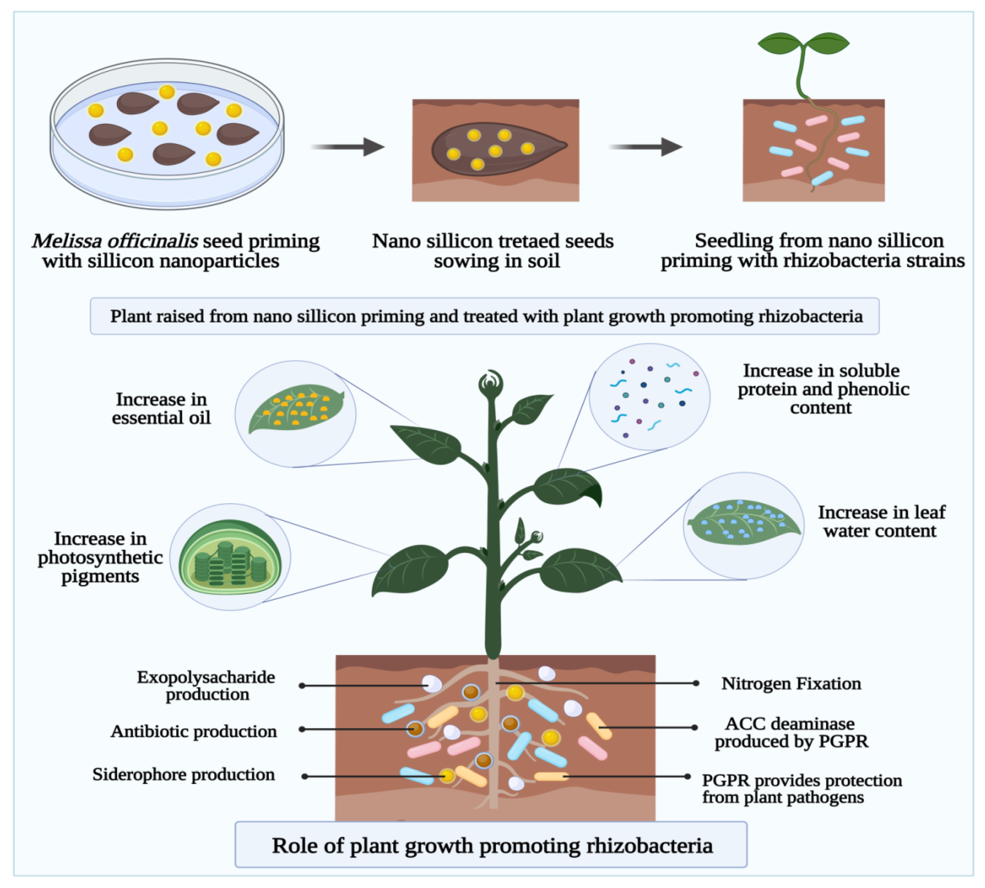 Cells Free Full Text Sustainable Agriculture Through