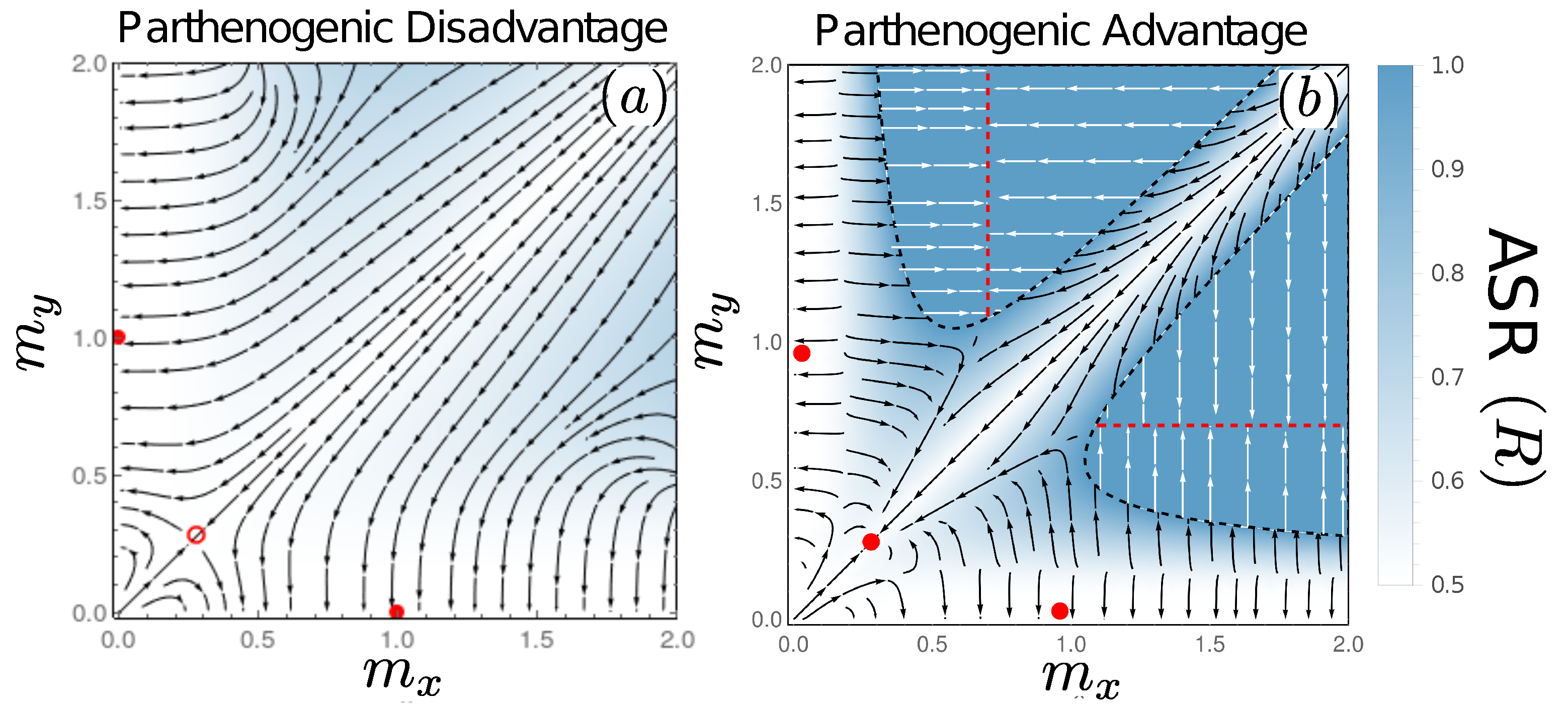 Parthenogenesis and the Evolution of Anisogamy