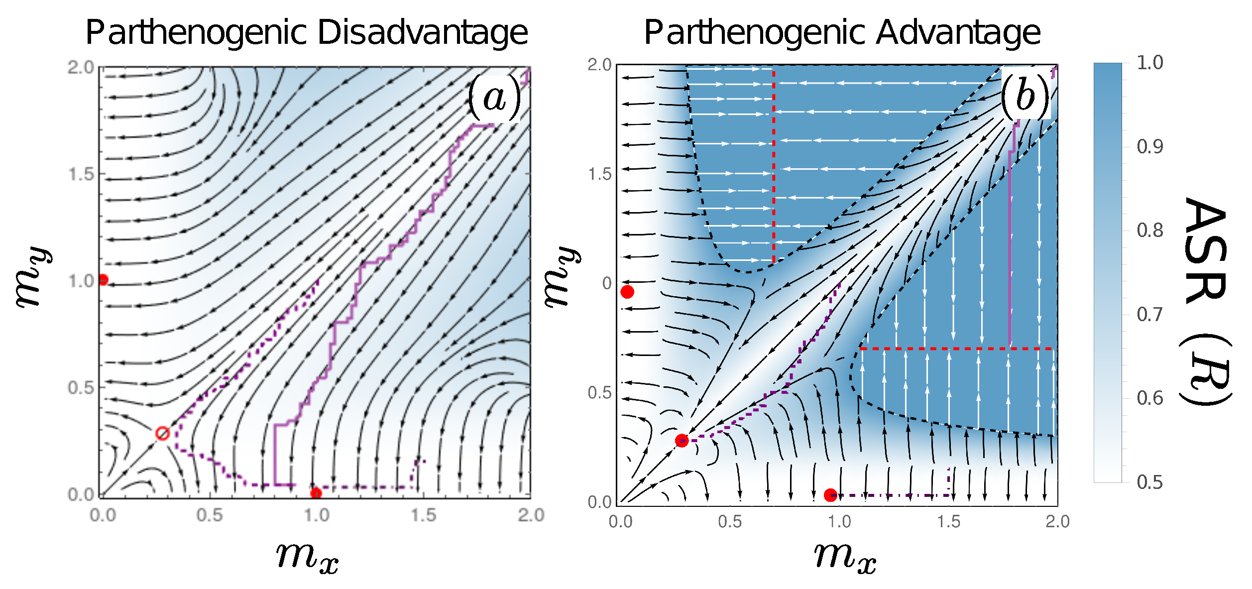 Parthenogenesis and the Evolution of Anisogamy