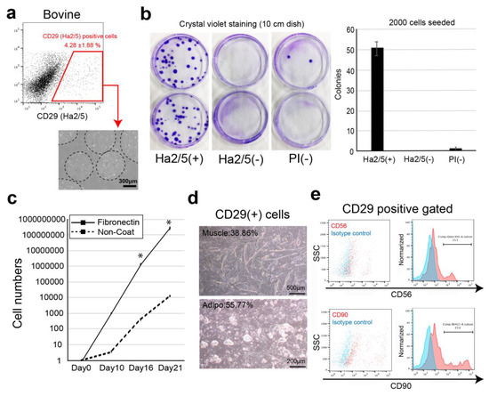 Isolation and Characterization of Tissue Resident CD29-Positive ...