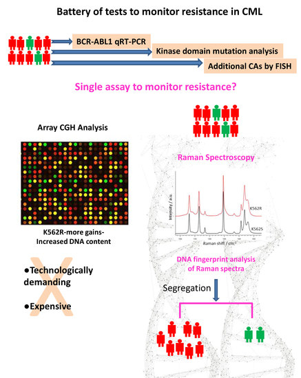 Cells | Special Issue : Cellular and Subcellular Analysis Using ...