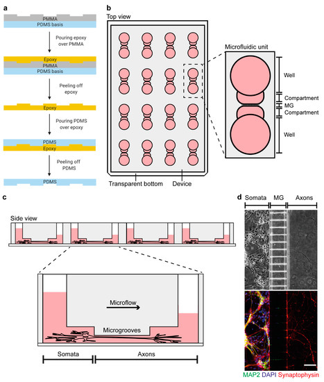 Cells | Free Full-Text | Deep Learning to Decipher the Progression and ...