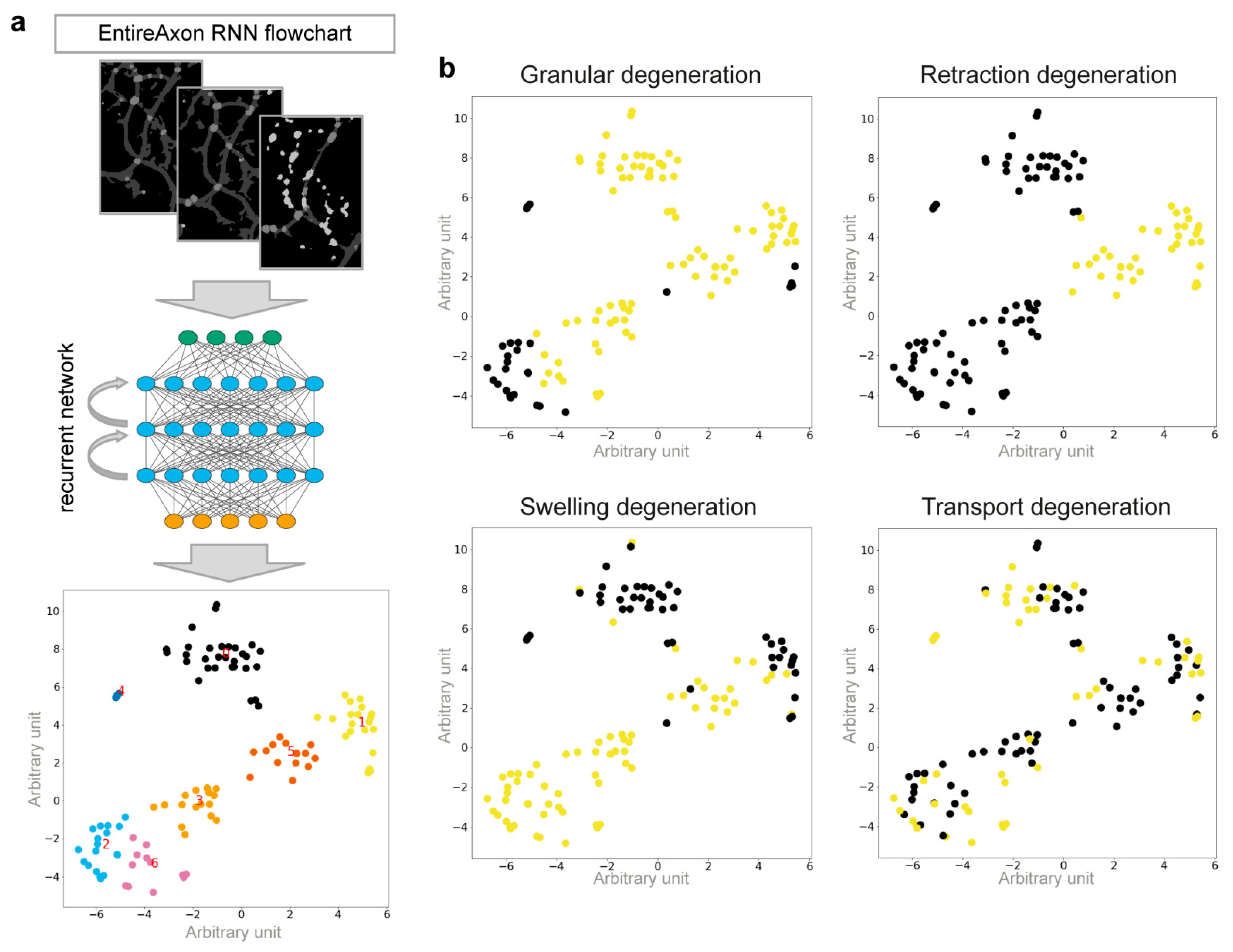 Cells | Free Full-Text | Deep Learning to Decipher the Progression and ...