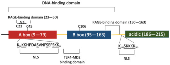 Cells | Special Issue : Regulation of HMGB1 Release in Health and Diseases