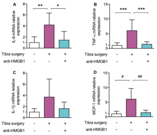 Cells | Special Issue : Regulation of HMGB1 Release in Health and Diseases