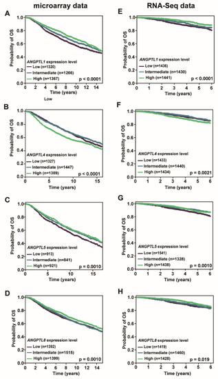 Distinct Clinical Impact and Biological Function of Angiopoietin and ...