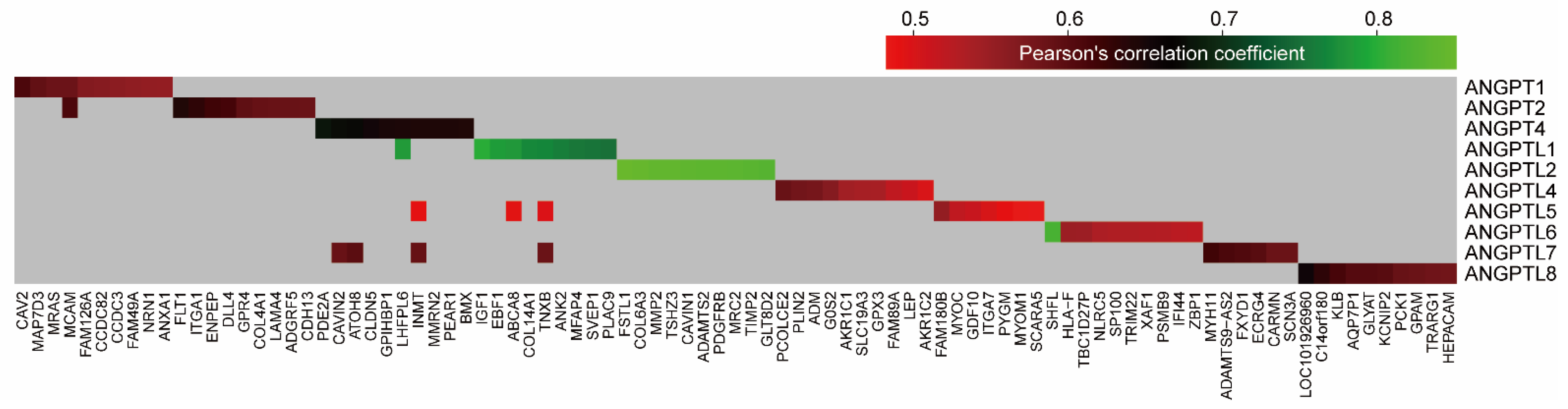 Distinct Clinical Impact and Biological Function of Angiopoietin and ...