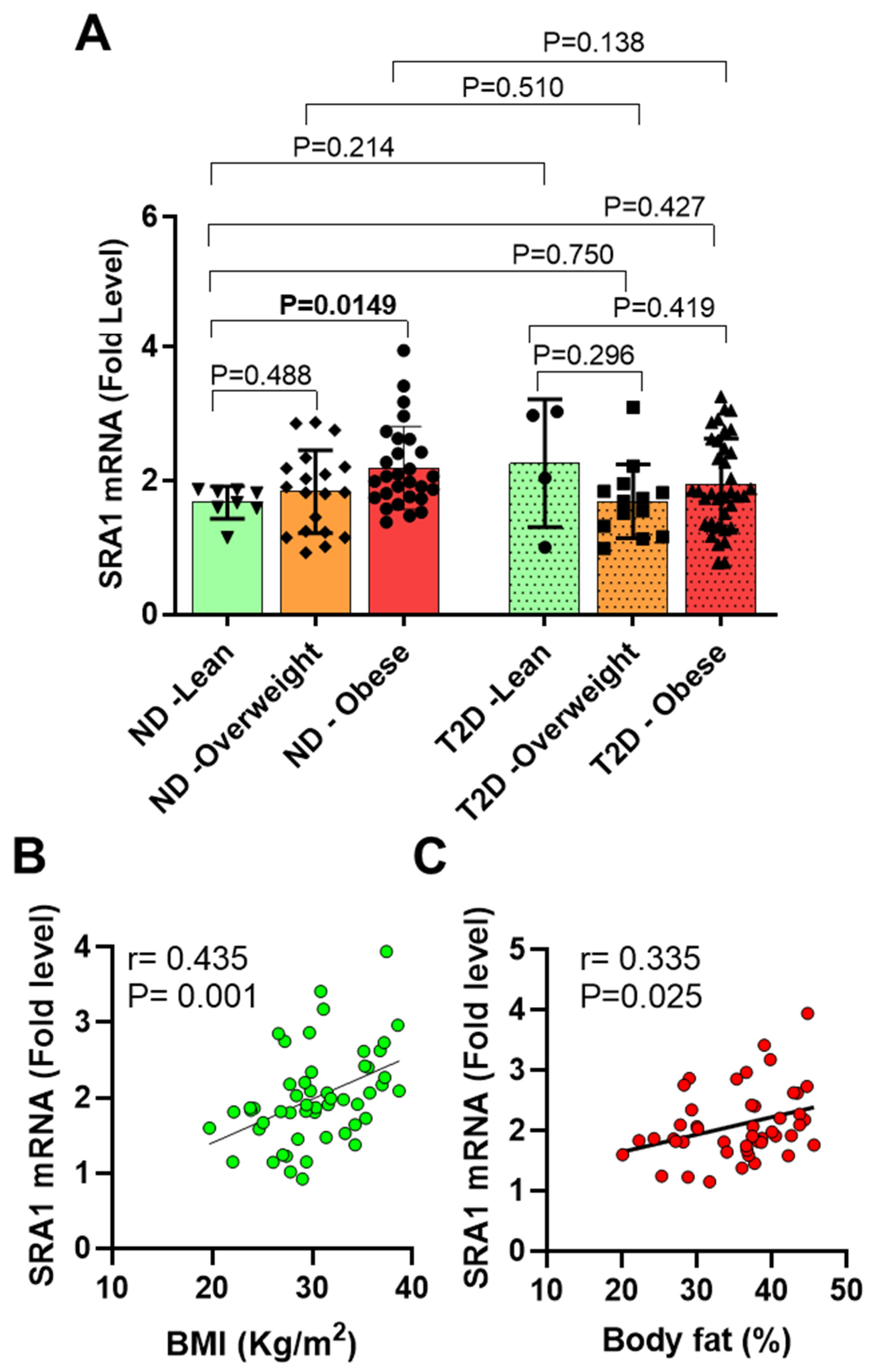Adipose Tissue Steroid Receptor RNA Activator 1 (SRA1) Expression Is ...