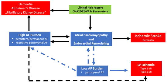 Atrial Cardiomyopathy: Pathophysiology and Clinical Consequences