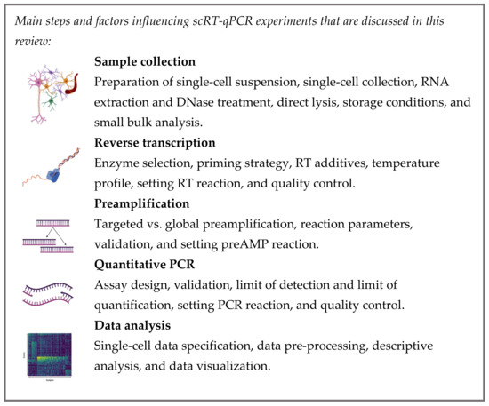 Tutorial: Guidelines for Single-Cell RT-qPCR