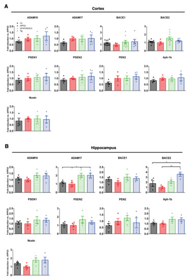 IKK2/NF-κB Activation in Astrocytes Reduces amyloid β Deposition: A ...