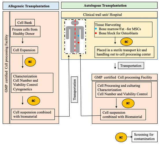 Clinical Applications of Cell-Scaffold Constructs for Bone Regeneration ...