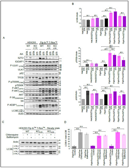 Cells | Free Full-Text | The SZT2 Interactome Unravels New Functions of ...