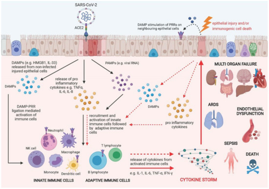 The Role of Epithelial Damage in the Pulmonary Immune Response