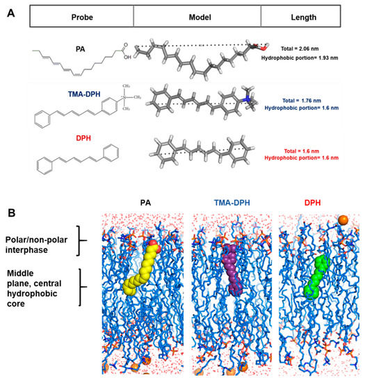 Plasma Membrane Fluidity: An Environment Thermal Detector in Plants