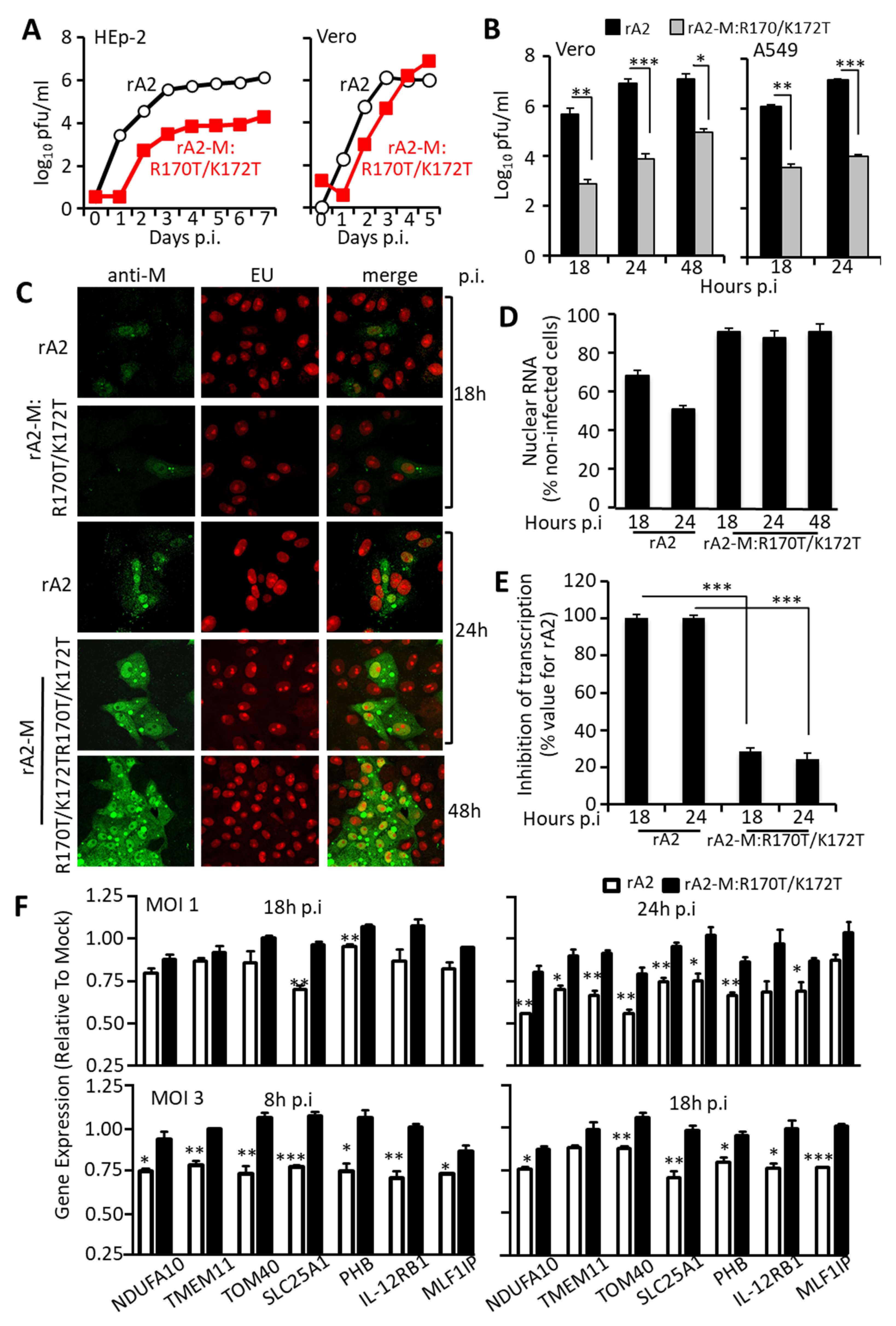 Respiratory Syncytial Virus Matrix Protein-Chromatin Association Is Key ...