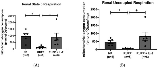 Low Dose of IL-2 Normalizes Hypertension and Mitochondrial Function in ...