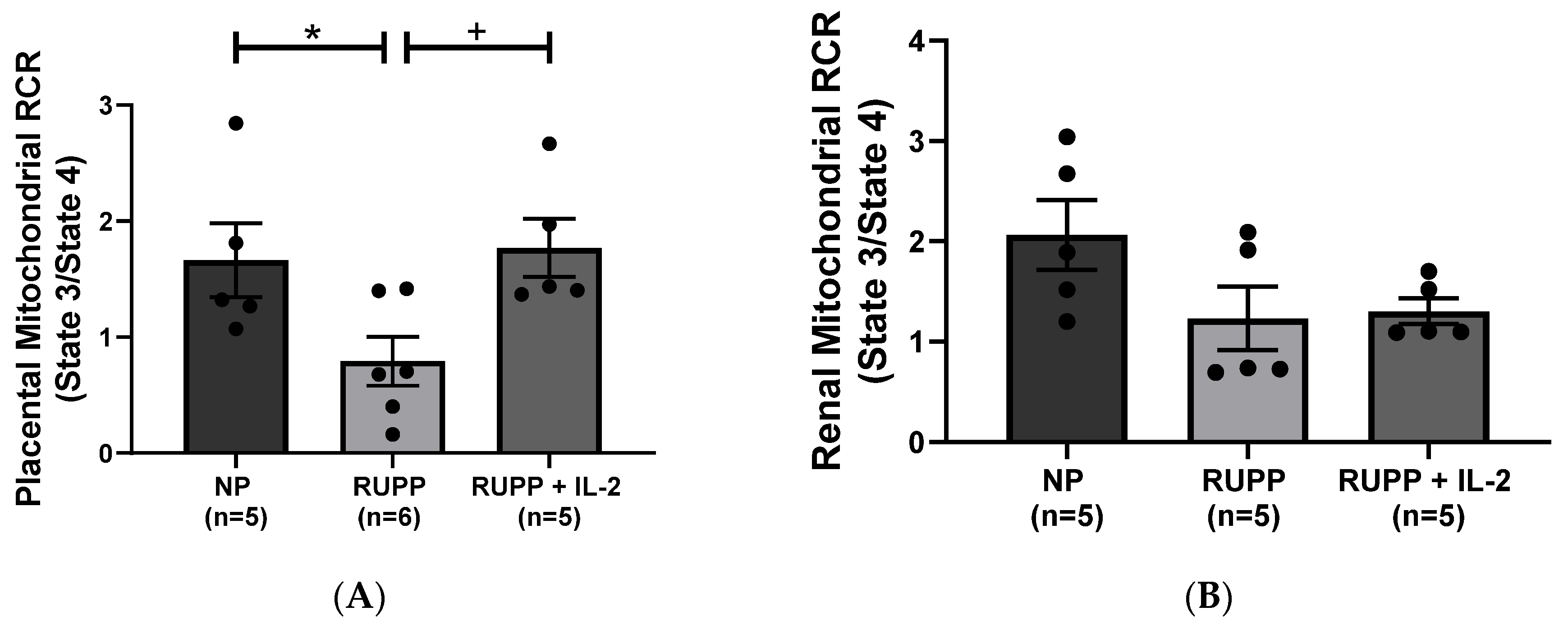 Low Dose of IL-2 Normalizes Hypertension and Mitochondrial Function in ...