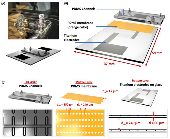 A Microfluidic Flip-Chip Combining Hydrodynamic Trapping and ...