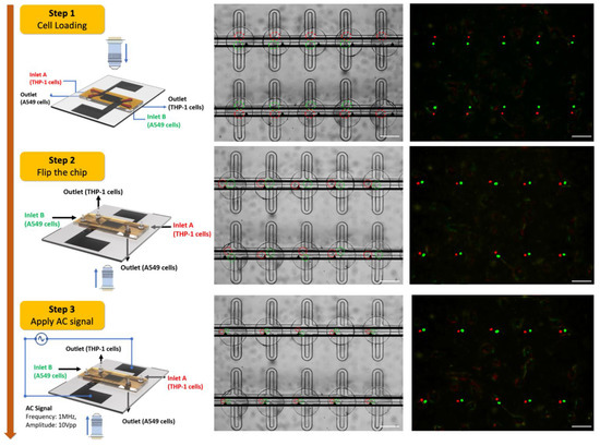 A Microfluidic Flip-Chip Combining Hydrodynamic Trapping and ...