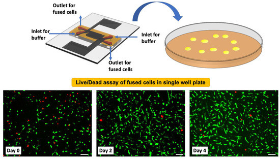 A Microfluidic Flip-Chip Combining Hydrodynamic Trapping and ...