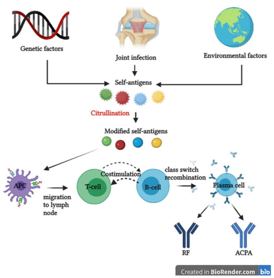 Management of Rheumatoid Arthritis: An Overview