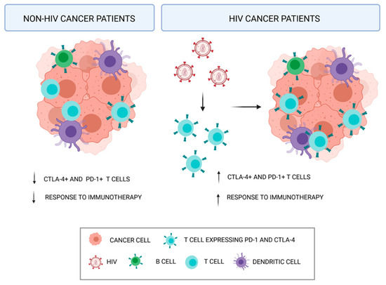 Chemotherapy-Induced Hepatotoxicity in HIV Patients