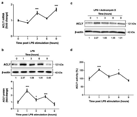 ACLY Nuclear Translocation in Human Macrophages Drives Proinflammatory ...