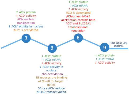 ACLY Nuclear Translocation in Human Macrophages Drives Proinflammatory ...