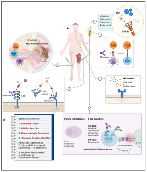 Recent Advances in Understanding the Pathogenesis of Rheumatoid ...