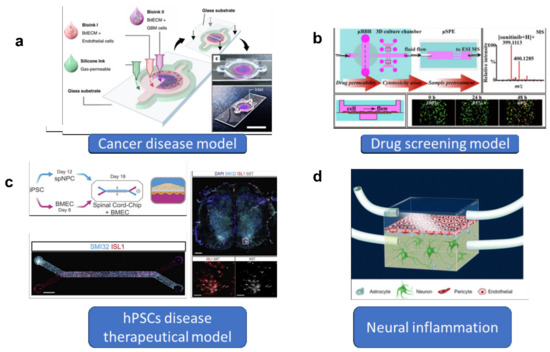 Dynamic 3D On-Chip BBB Model Design, Development, and Applications in ...