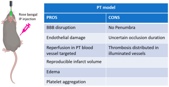 Translational Stroke Research Review: Using the Mouse to Model Human ...