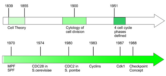 Regulation of Cell Cycle Progression by Growth Factor-Induced Cell ...