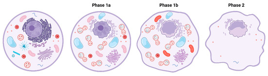 Cardiac Glycosides as Autophagy Modulators