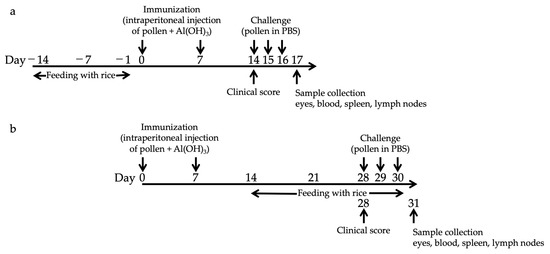 Cells | Free Full-Text | Prophylactic and Therapeutic Effects of Oral ...