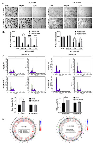 p38 Mediates Resistance to FGFR Inhibition in Non-Small Cell Lung Cancer