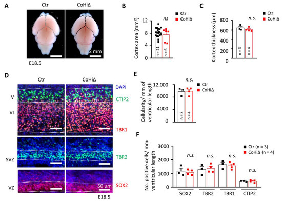 Cells | Free Full-Text | Cell Type-Specific Role of RNA Nuclease SMG6 ...