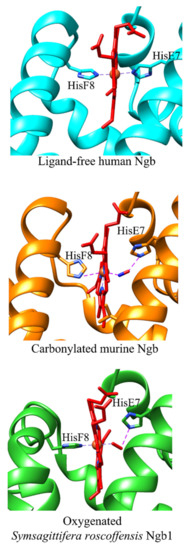 Structural and (Pseudo-)Enzymatic Properties of Neuroglobin: Its ...