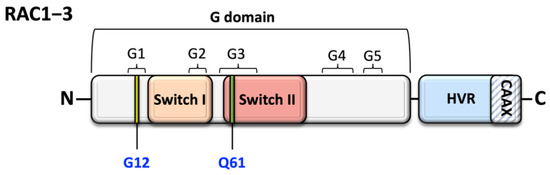 Pathophysiological Mechanisms in Neurodevelopmental Disorders Caused by ...