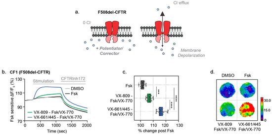 High-Throughput Functional Analysis of CFTR and Other Apically ...