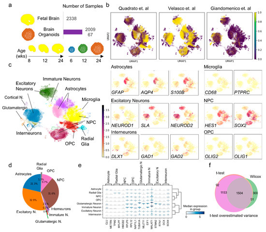 Transcriptomic Mapping of Neural Diversity, Differentiation and ...