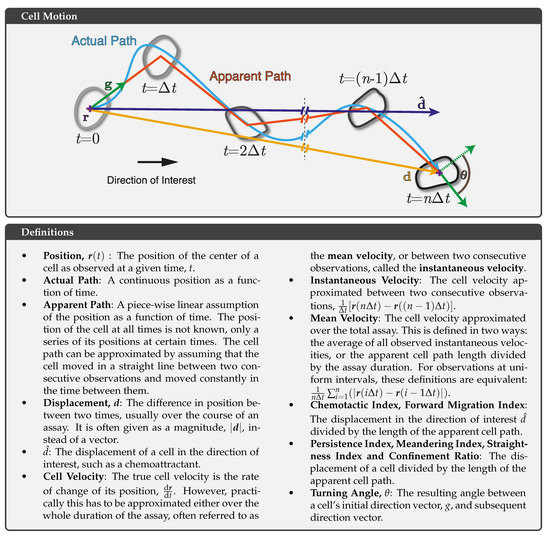 The Critical Importance of Spatial and Temporal Scales in Designing and ...