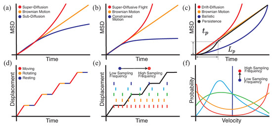 The Critical Importance of Spatial and Temporal Scales in Designing and ...